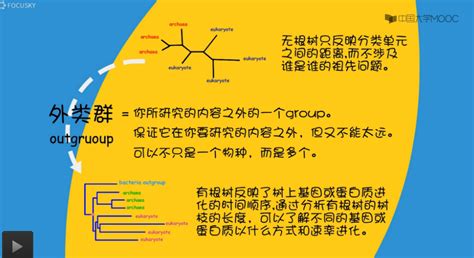 生物信息学课程 知乎