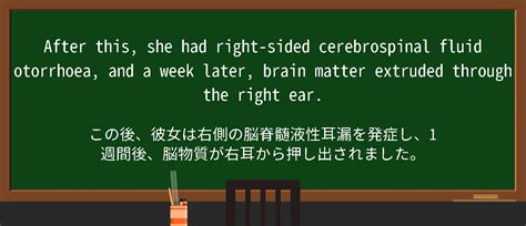 【英単語】otorrhoeaを徹底解説！意味、使い方、例文、読み方 おもしろい英文法