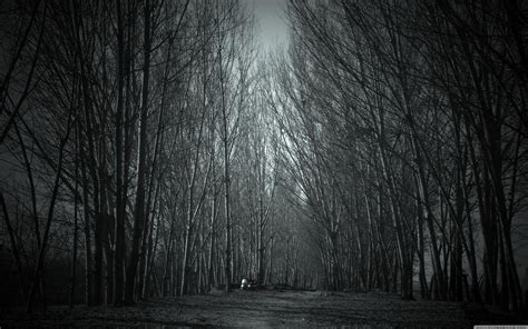 Haunted Forest Wallpapers Top Free Haunted Forest Backgrounds