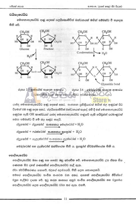 Biology ජීව විද්‍යාව 12 ශ්‍රේණිය සම්පත් පොත කළු සුදු මුද්‍රණය Al Kuppiya Store