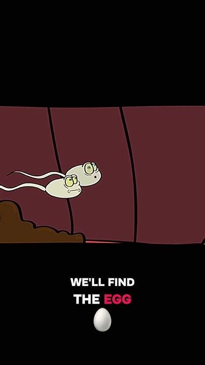 Sweetcorn Sweetcorn Youtube