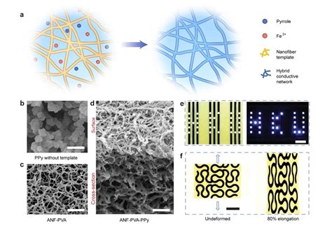 Hybrid Assembly Of Polymeric Nanofiber Network For Robust And