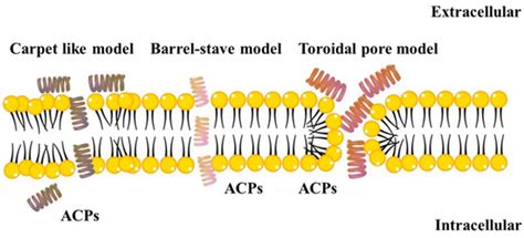 Anti Cancer Peptides Status And Future Prospects