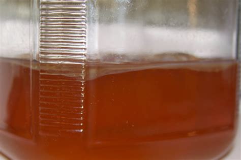 The Homemade Housewife Homemade Scoby For Making Kombucha