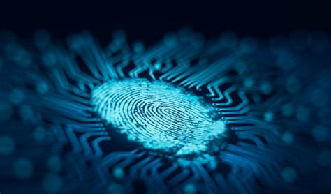Embracing The Future The Evolution Of Contactless Biometrics R Contactlessbiometrics