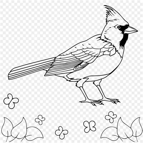 Catholic Cardinal Clipart Outline