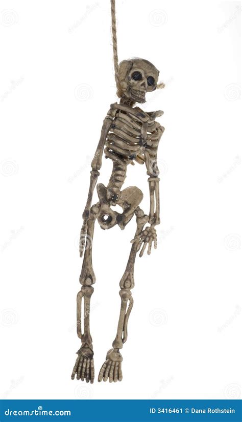 Hanging Skeleton Stock Image Image 3416461