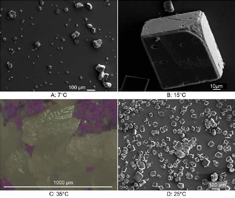 Selection Of Microscopy Images Sem And Optical Microscopes Of Download Scientific Diagram