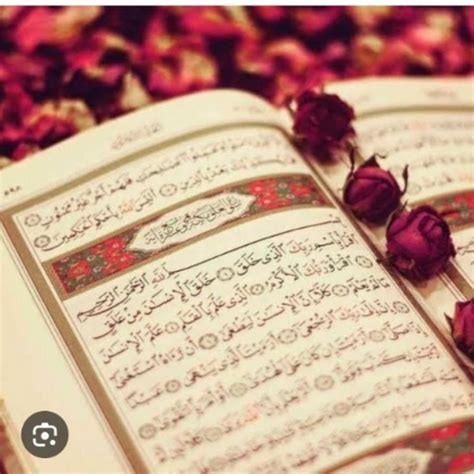 Dilber Hussain On Linkedin Ayyan Prince