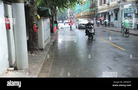 Tree Scaffolding Stock Videos And Footage Hd And 4k Video Clips Alamy