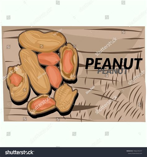 Peanuts Flat Illustration Vector Stock Vector Royalty Free 1966235377 Shutterstock