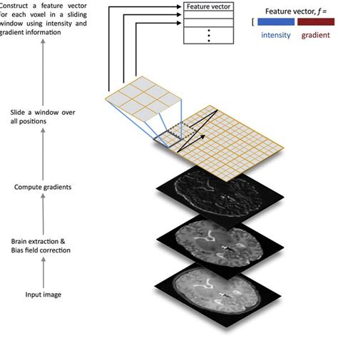 overview of the segma feature extraction framework the input test