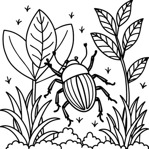 Beetle Bug Coloring Pages Beetle Bug Outline For Coloring Book Insect