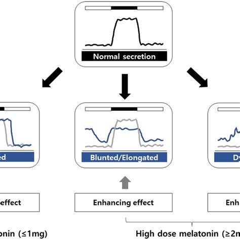 Potential Types Of Melatonin Dysfunction And Target Effects Of