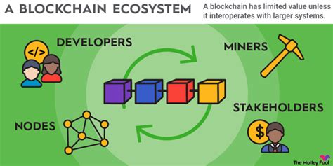 What Is A Blockchain Ecosystem The Motley Fool