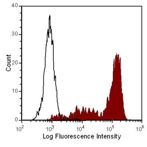 Ly 6gly 6c Monoclonal Antibody Rb6 8c5 Invitrogen™ 250 μg