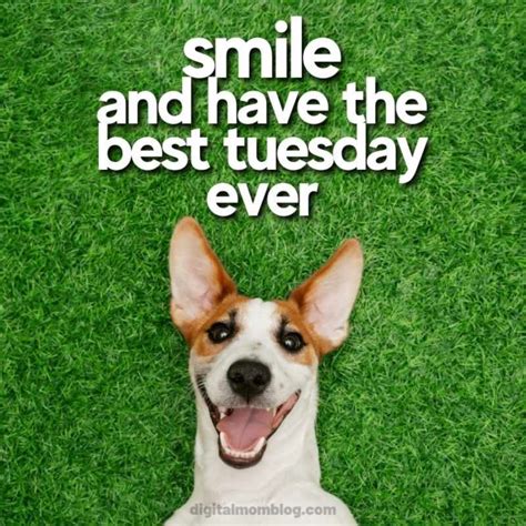 Imogene Bibbs On Linkedin 🎉🎉🎉 Happy Tuesday 🎉🎉🎉