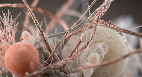 Social Barriers → Term