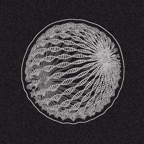 Chromosome R Generative