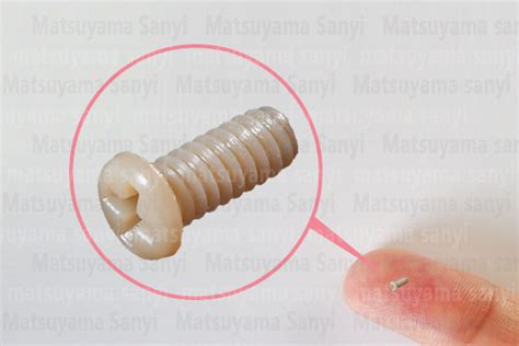 Micro Plastic Screw Product From Japan