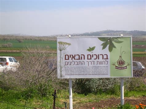 שמורת אלוני אבא הושבילים