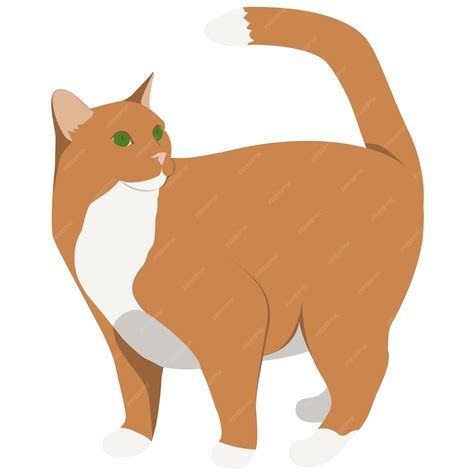 Minx Clipart