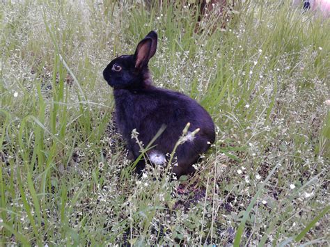 Foto0686 By Dalia98 On Deviantart