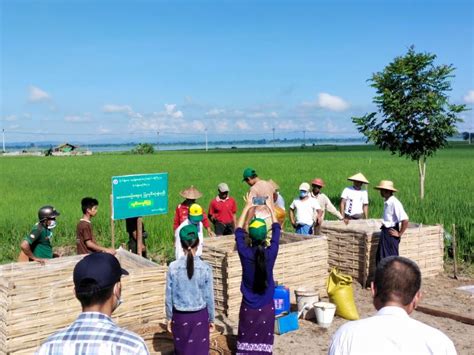 အီးအမ်ဘိုကာရှီ သဘာဝမြေဩဇာပြုလုပ်နည်းအား လက်တွေ့ကွင်းသရုပ်ပြပွဲ ပြသဆောင