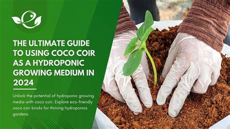 Coco Coir Hydroponic Growing Medium Ultimate Guide In 2024