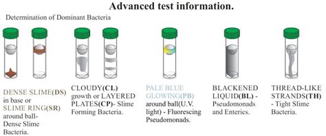 Slime Forming Bacteria Slym Biological Activity Reaction Test Bart