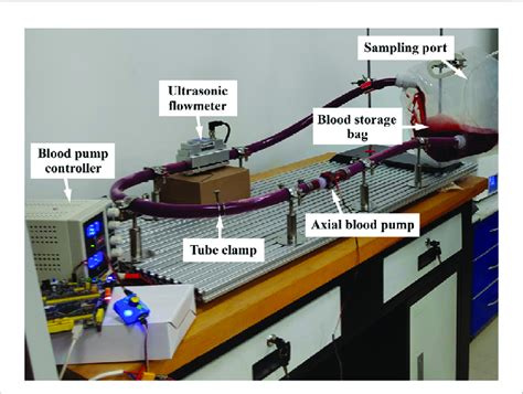 Hemolysis Test Circulation Platform Download Scientific Diagram