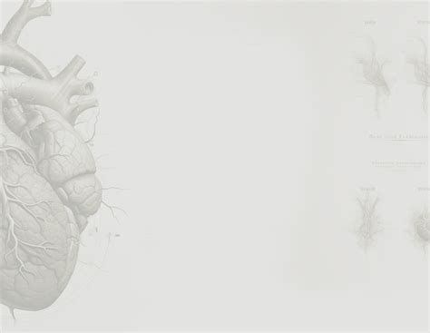 Insuffisance Mitrale Cardiologue Marchal