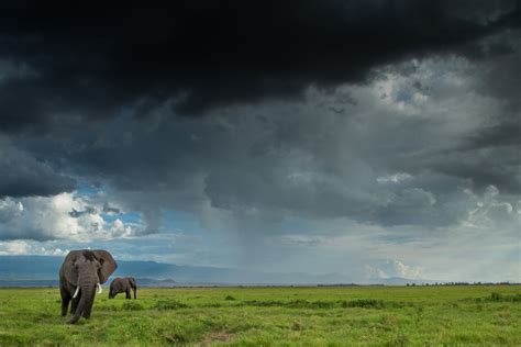 How To Beat Imposter Syndrome In Nature Photography Nature Ttl