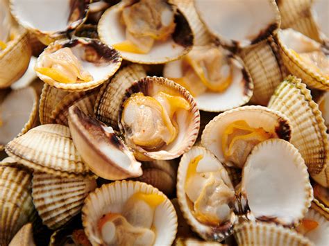 What Are Cockles And How To Cook Them Chao Pescao