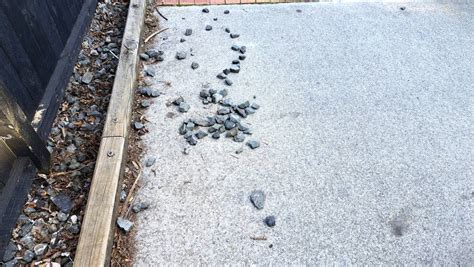 Whangārei Shared Pathway Users Feel Unsafe Despite Cctv Surveillance Nz Herald