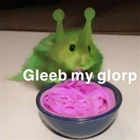 Pin By Caitie Okain On Lol Funny Cat Memes Silly Cats Pictures