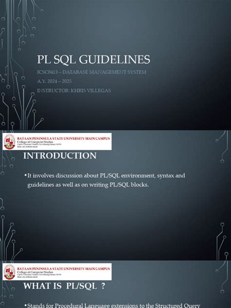 Pl Sql Guidlines Pdf Plsql Sql
