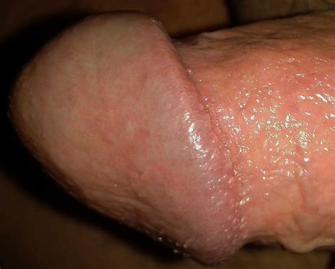 Misiu Porn Pictures Xxx Photos Sex Images 1584769 Pictoa