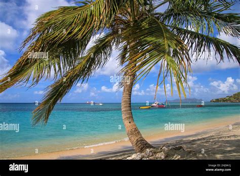 Sandy Beach At Hillsborough Bay Carriacou Island Grenada