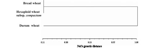 Unweighted Pair Group Method With Arithmetic Average Upgma Phenogram