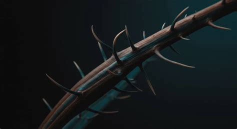 Climate Vulnerability → Term