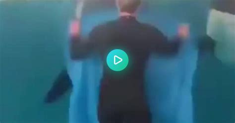 Orcas Are Way To Smart Album On Imgur