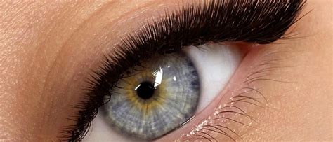 Unlocking Financial Success With Tailor Lash Tool