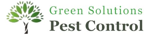 Ant Control Green Solutions Pest Control