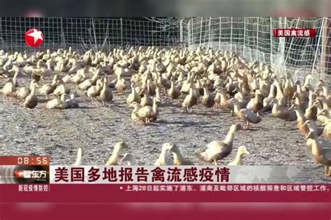 美国多地报告禽流感疫情疫情报告美国