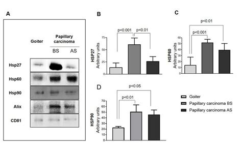 Exosome Characterization A Quantification And Characterization By