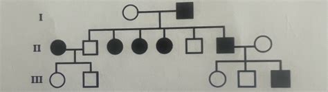 Exam 1 Diagram Quizlet