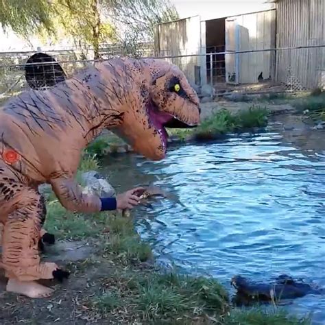 Alligator Vs T Rex
