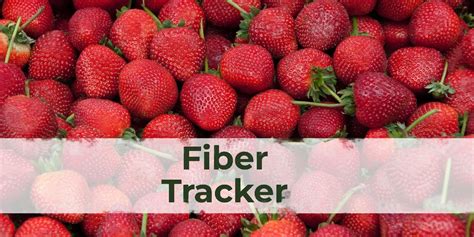Fiber Tracker How To Calculate And Track Your Fiber Intake