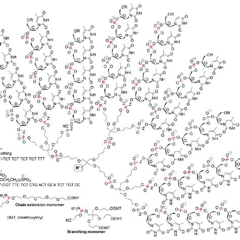 Phosphoramidite Functionalized With Pentaerythritol Structure For
